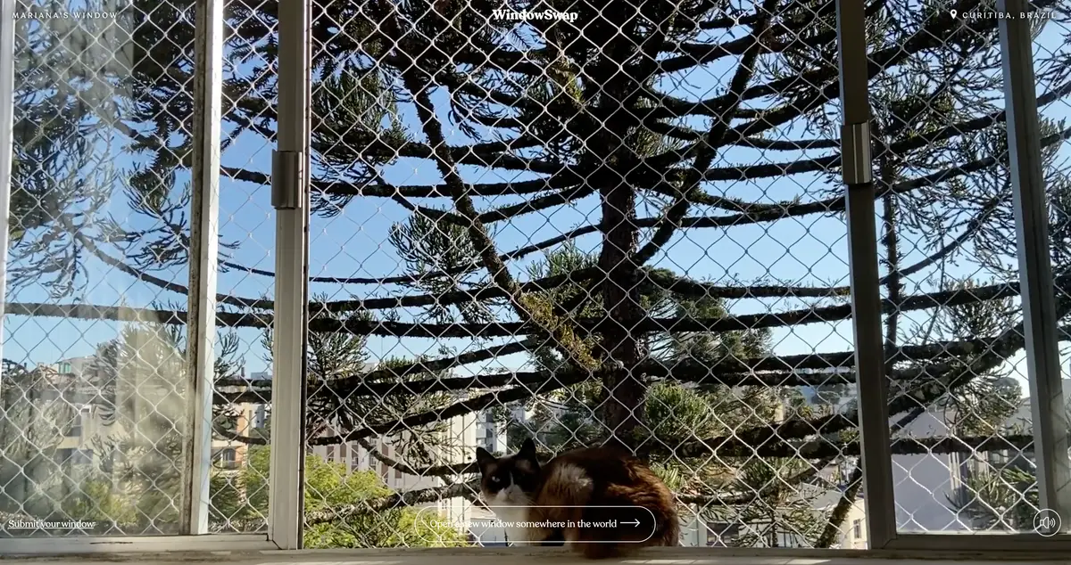 전세계 창 밖 풍경을 여행하는 언택트 랜선여행 | 세시간전